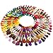 Amazon.com: ThreadNanny 100 Colors Embroidery Thread - 100 Rainbow ...