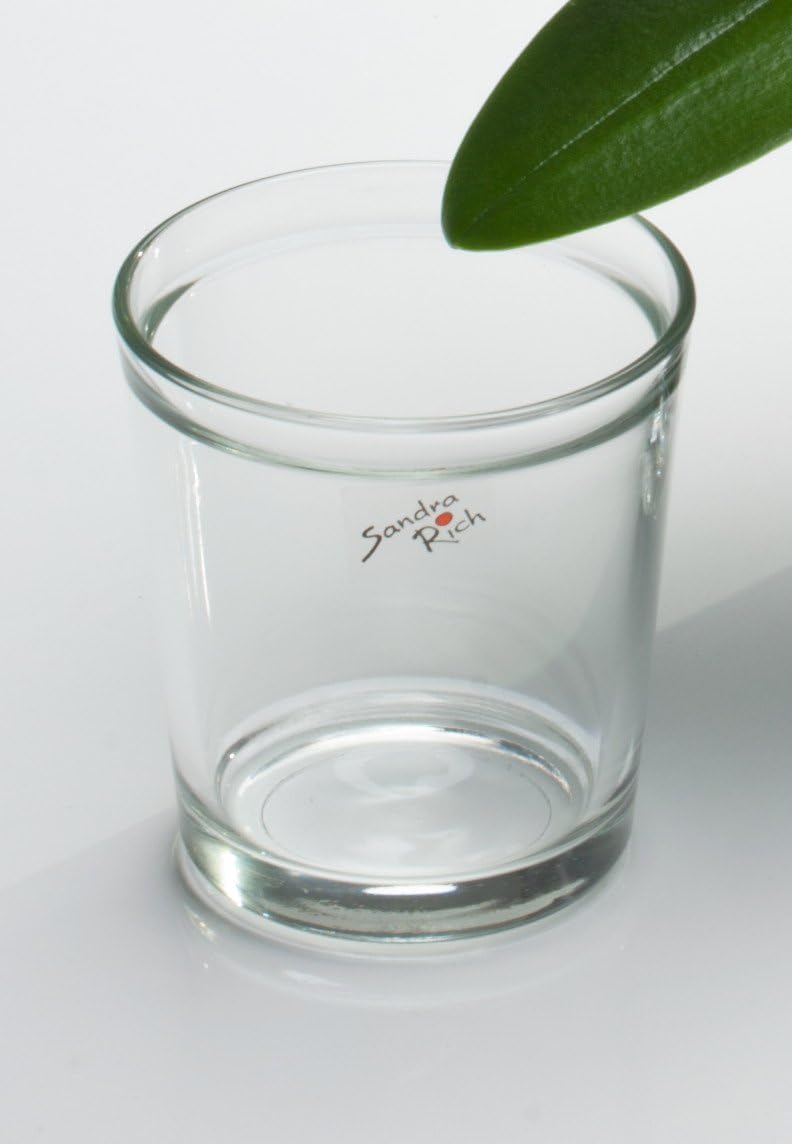 Amazon.com: Flowerpot Orchid Glass Cachepot, 10cm, Clear : Patio, Lawn ...