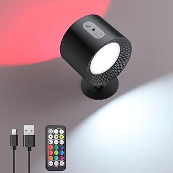 COLORLAM 1PC Battery Operated Wall Mounted Light with Remote, 9 Colors ...