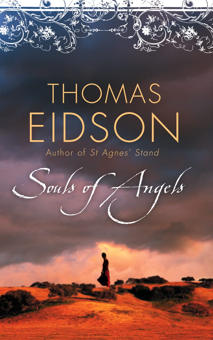 Souls of Angels: Amazon.co.uk: Eidson, Thomas: 9780007181742: Books