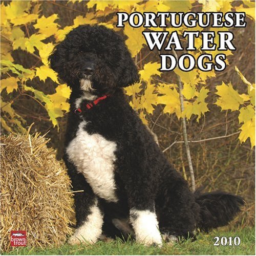 Portuguese Water Dogs 2010 Square Wall: BrownTrout Publishers Inc ...