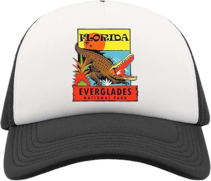 Desconocido Florida Everglades National Park Alligator Retro Poster ...