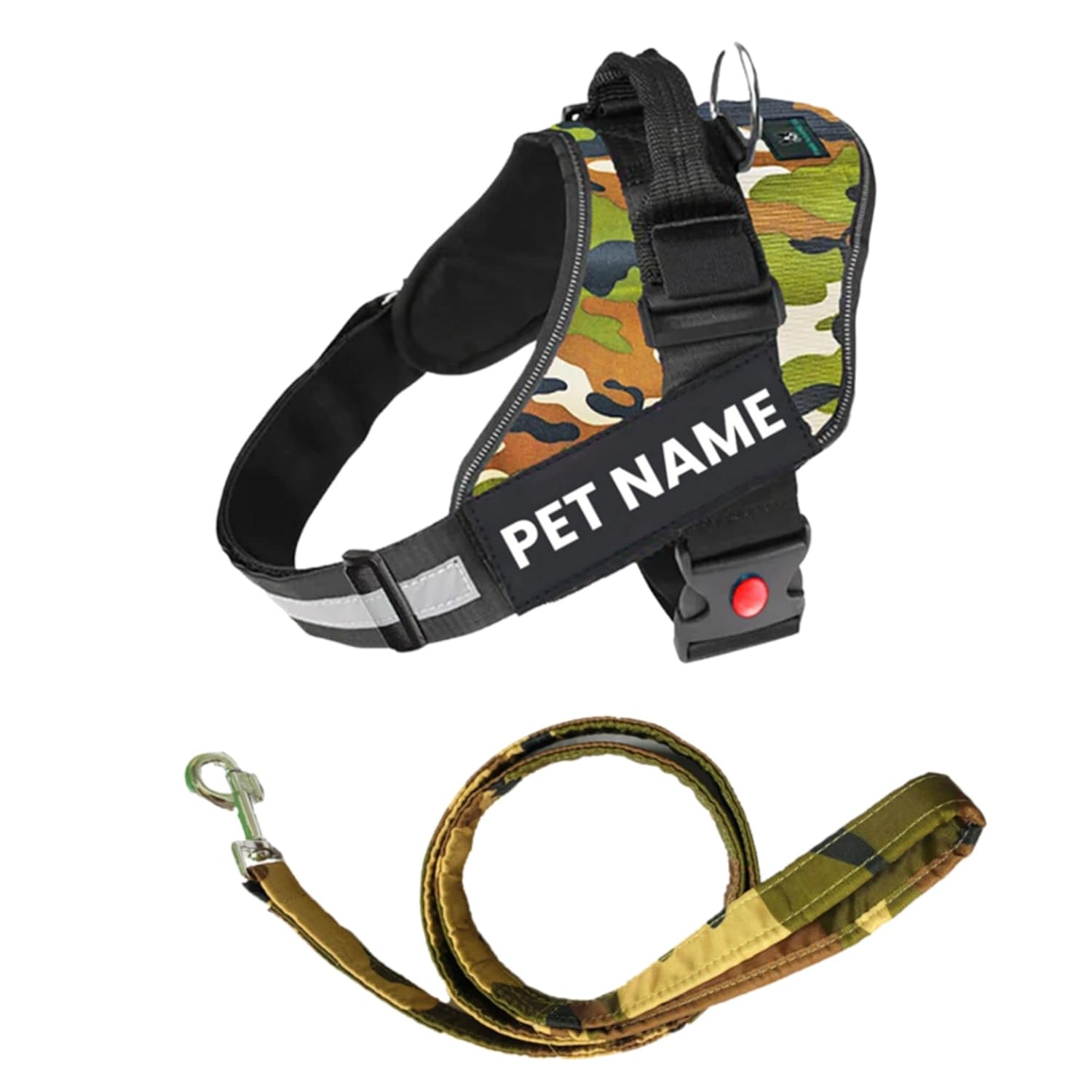 PAYTON PERRY Customized Dog Harness with Leash | Dog Harness with Name ...