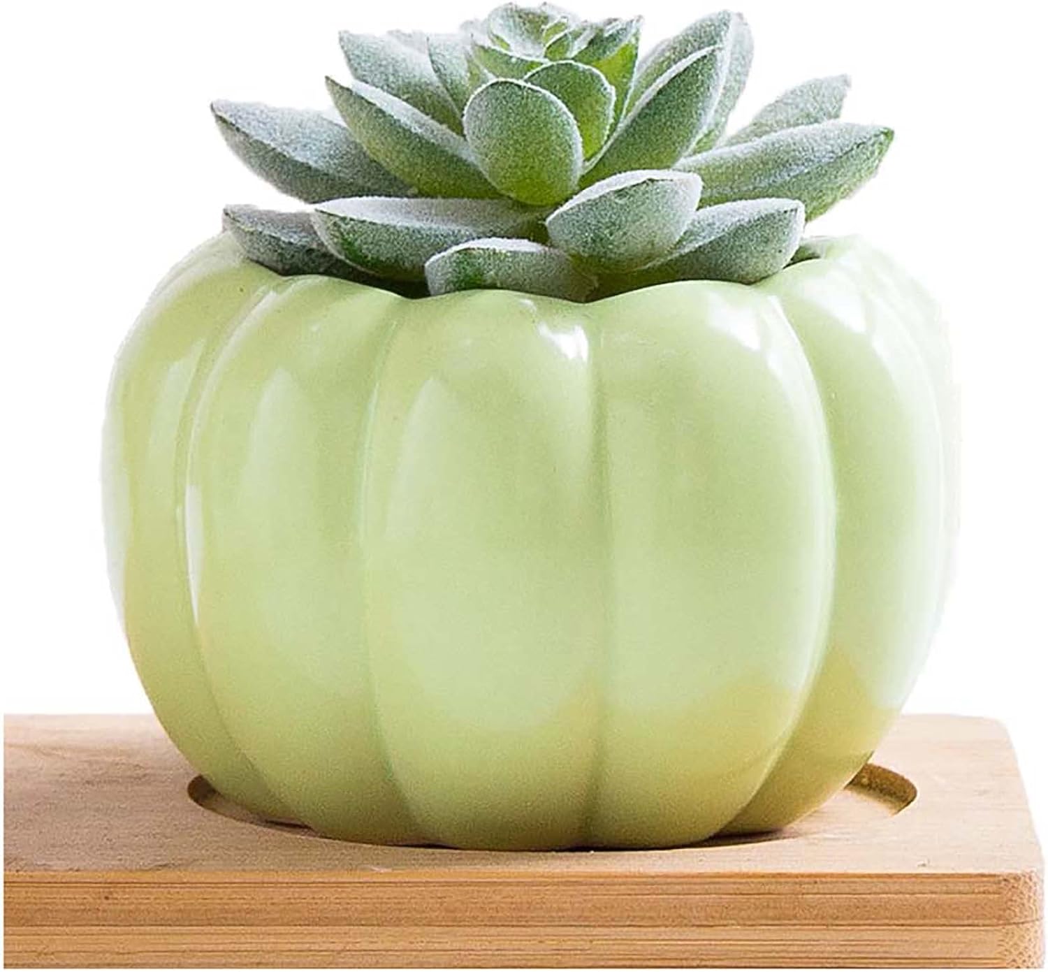 Amazon.com: Ceramic Pumpkin Small Flower Planter Round Pot, Creative ...