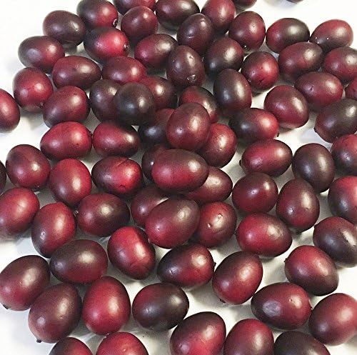 Amazon.com: Artificial Fake Cranberry Fruit, Bag of 72 Cranberries ...