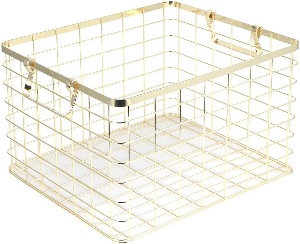 Amazon.com - Wire Storage Basket, Gold Metal Storage Bin with Handles ...