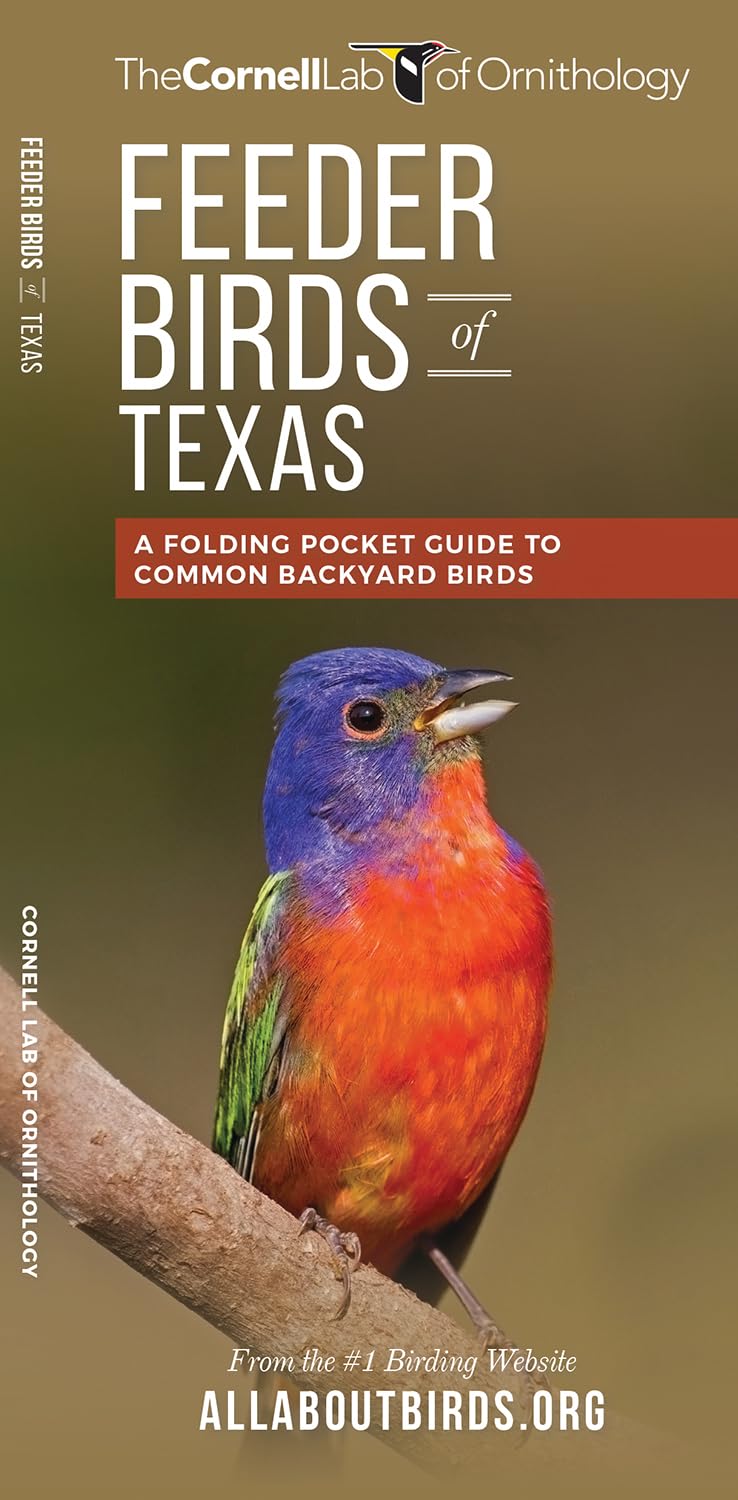 Feeder Birds of Texas: A Folding Pocket Guide to Common Backyard Birds ...