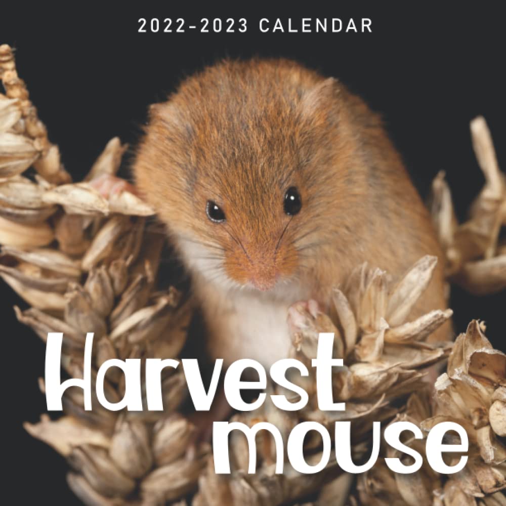 Buy Harvest Mouse 2022 2023: Great 24-month for all fans - 8.5 x 8.5 ...