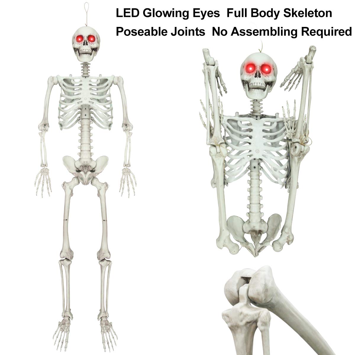 Buy 5.5FT Halloween Skeleton Realistic Life Size Human Skeleton with ...