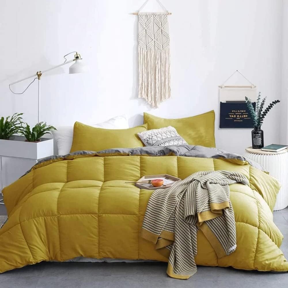 Amazon.com: Stylish 2 Piece Down Alternative Comforter, Twin Size ...
