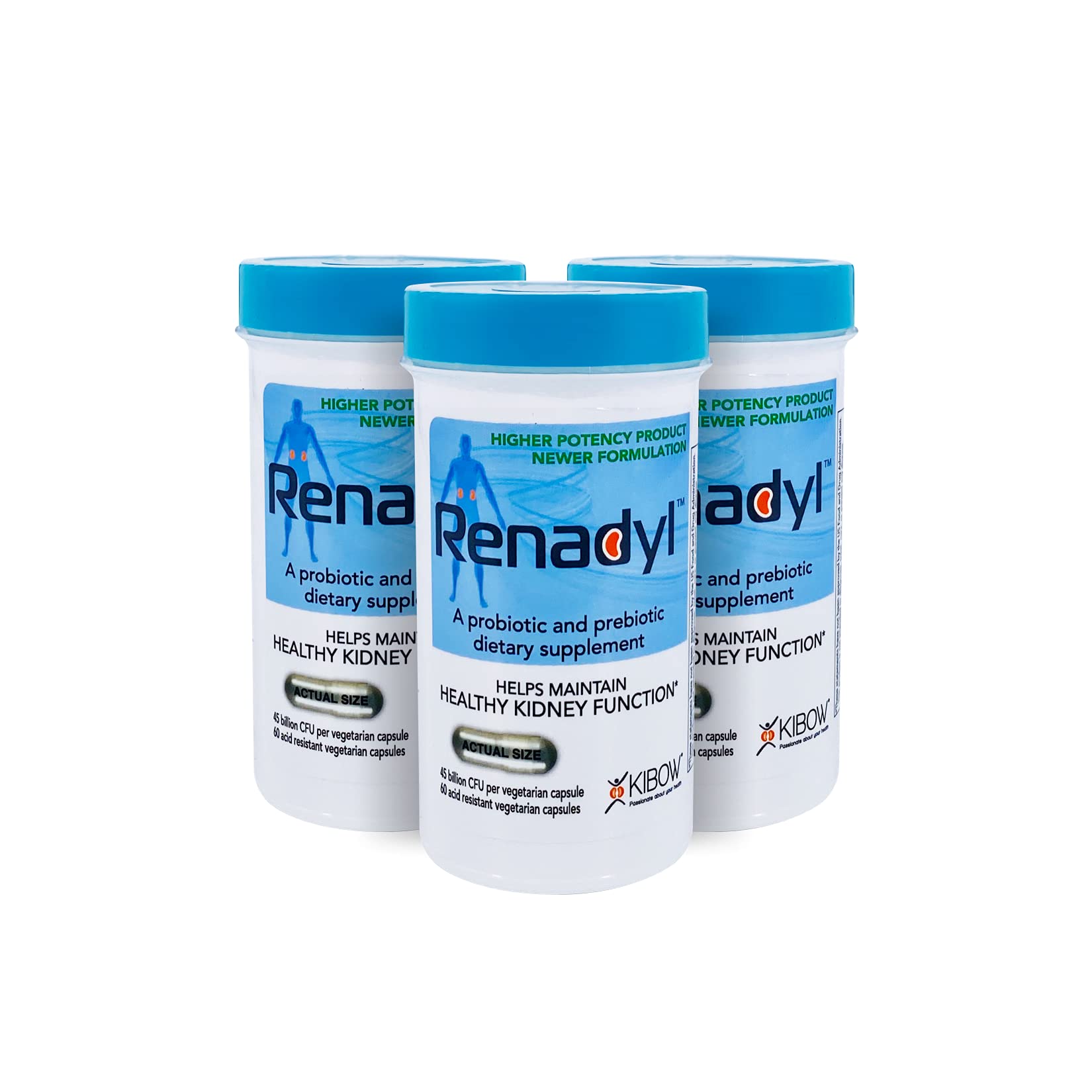 Snapklik.com : Renadyl Kidney Probiotic Supplement Urea, Creatinine ...