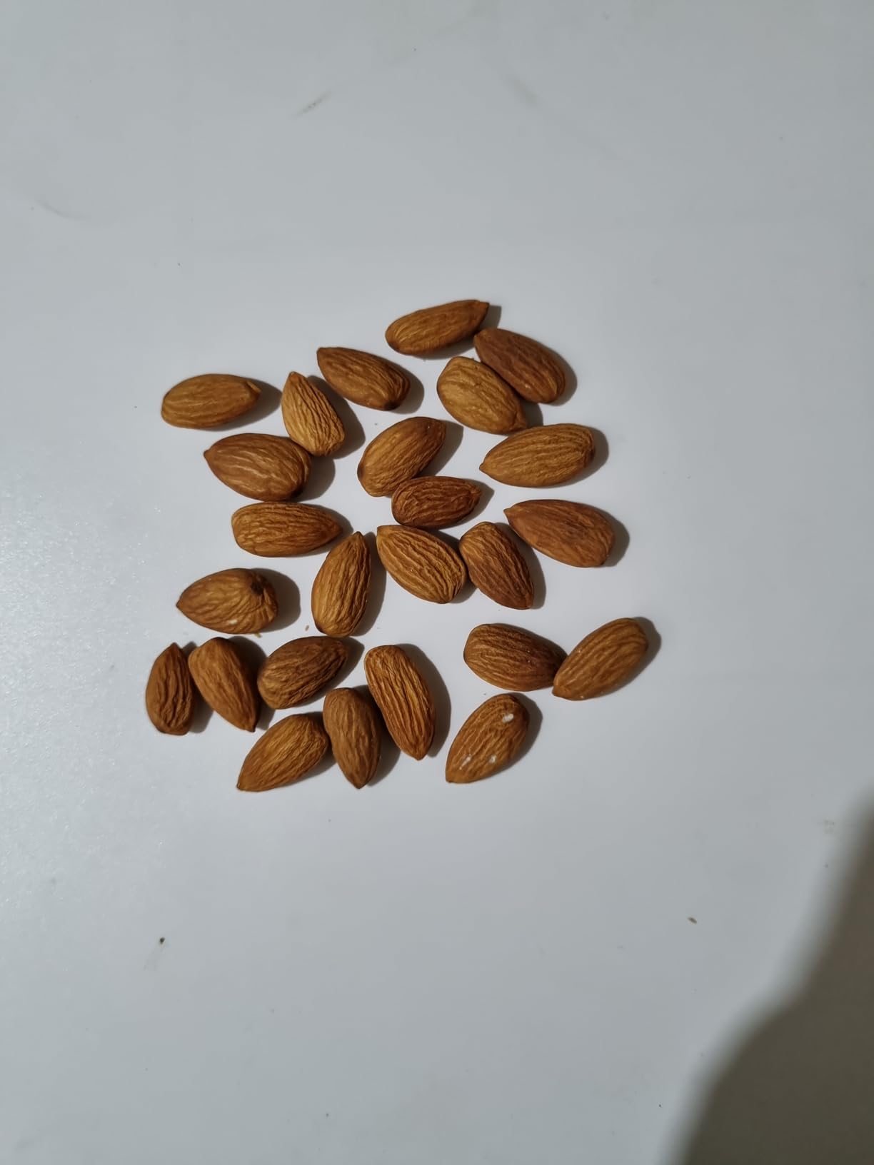 ProV Select - Almond 500 gm | Raw Badam Dry Fruit | High Protein Snack ...