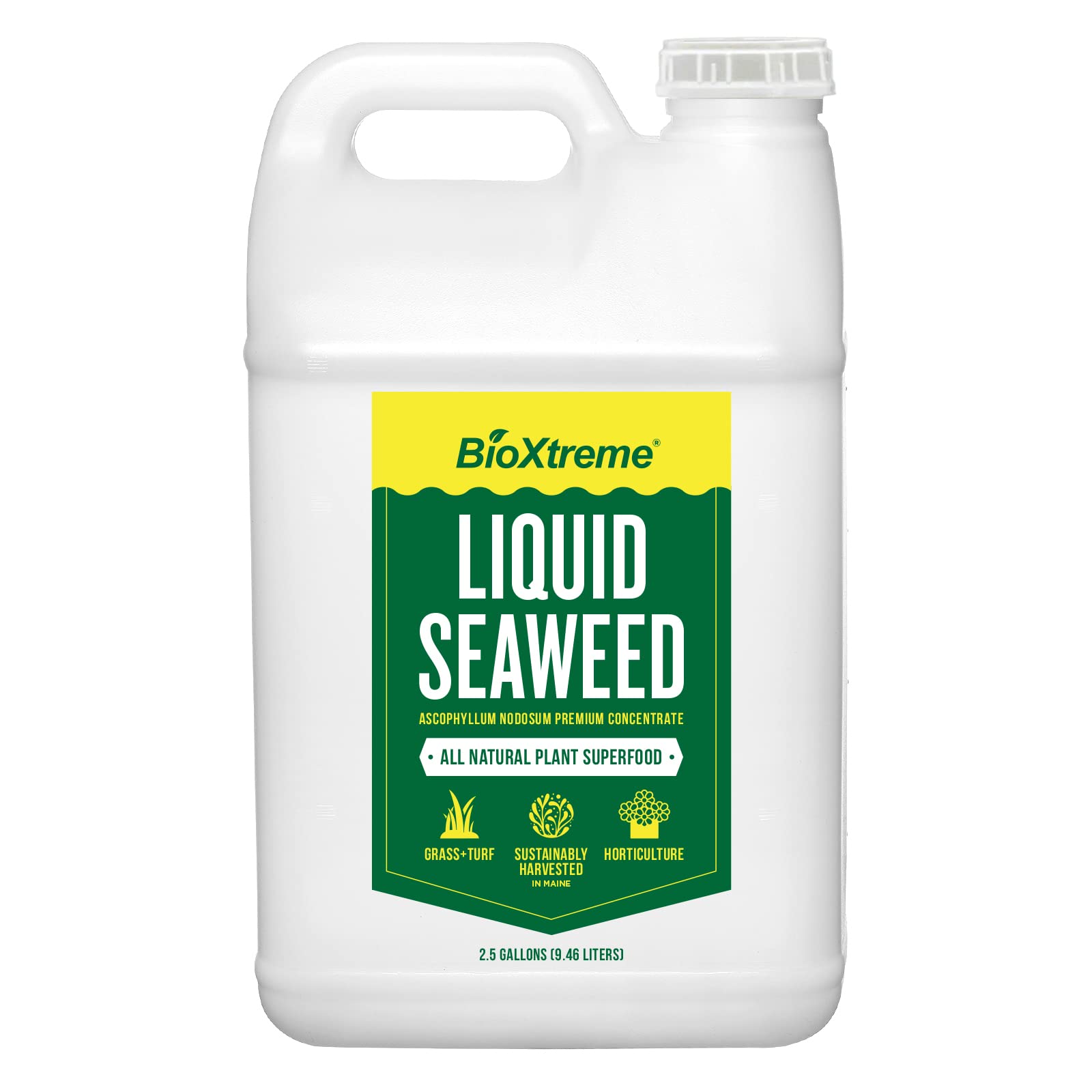Amazon.com : BIOXTREME Natural Liquid Seaweed Premium Concentrate - 2.5 ...
