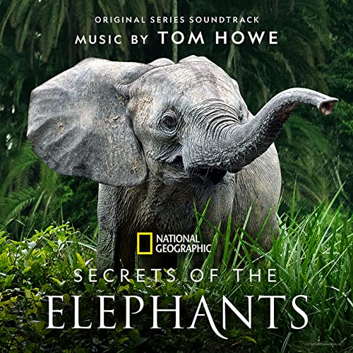 Play Secrets of the Elephants (Original Series Soundtrack) by Tom Howe ...