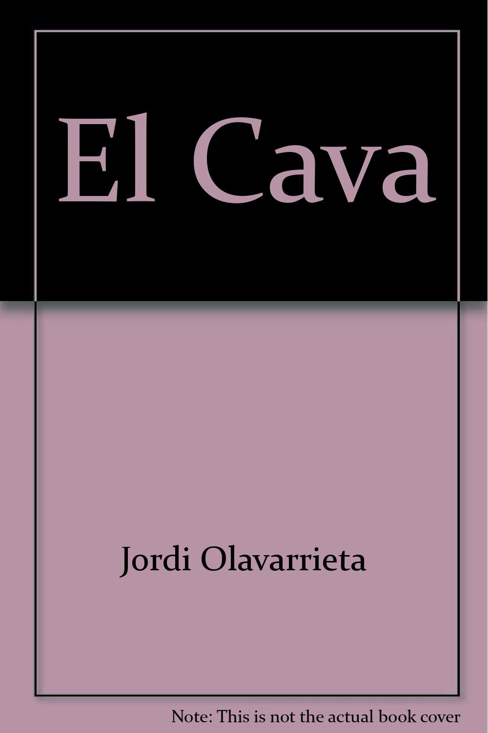 El Cava: Jordi Olavarrieta: 9788460536147: Amazon.com: Books
