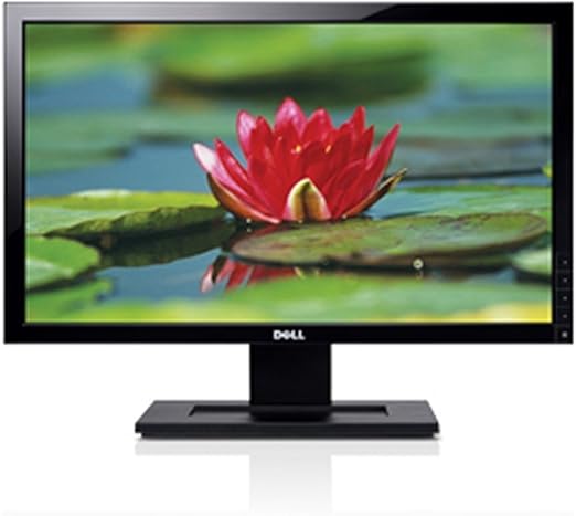 Dell IN2020 20-inch Widescreen LCD TFT Monitor : Amazon.co.uk ...