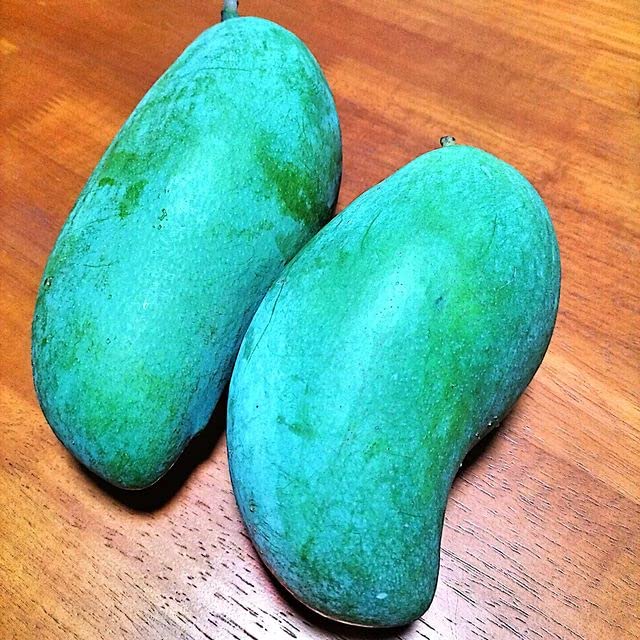 Native Earth Nursery Thai Catimon Mango Hybrid 1 Healthy Live Plant ...