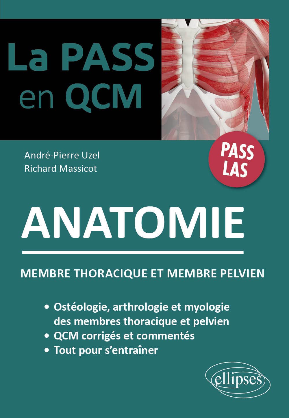 QCM d'anatomie - Membre thoracique et membre pelvien | Amazon.com.br