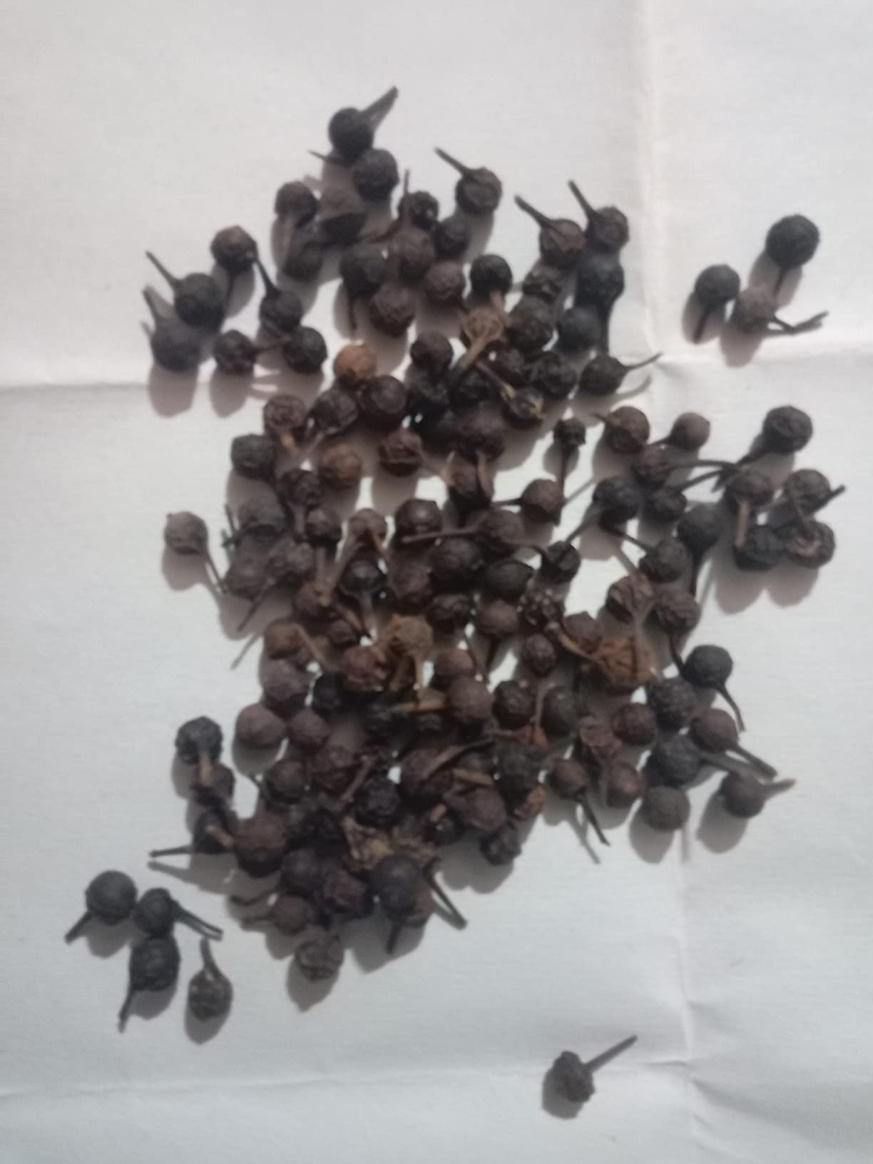 EXCELLENT FOODS - Kabab Chini Whole (Cubeb Pepper) 100 grams : Amazon ...