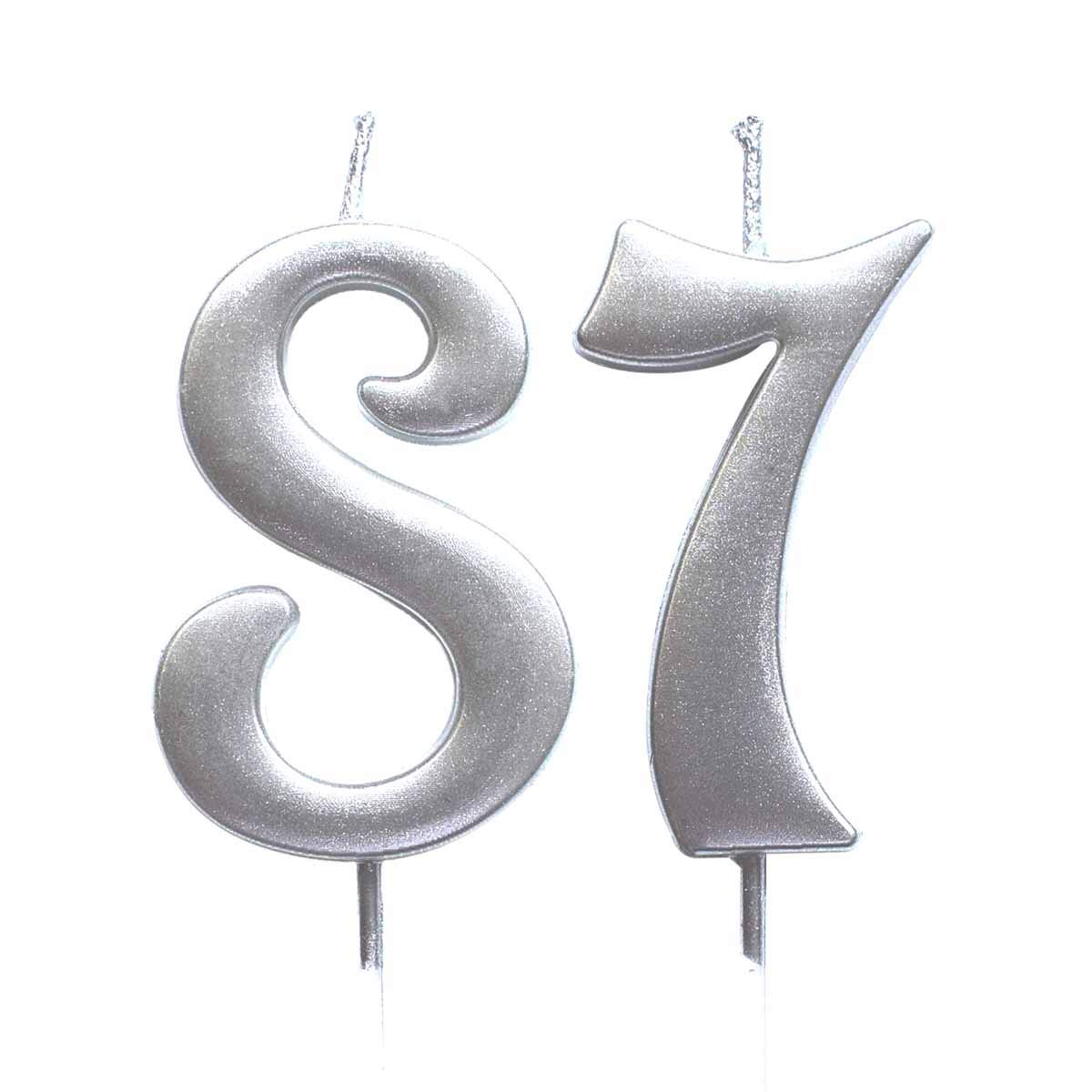 Amazon.com: MAGJUCHE Silver 87th Birthday Numeral Candle, Number 87 ...