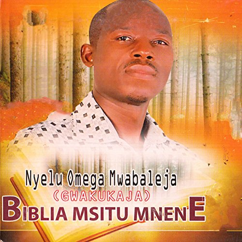 Amazon.com: Biblia Msitu Mnene : Nyelu Omega Mwabaleja: Digital Music