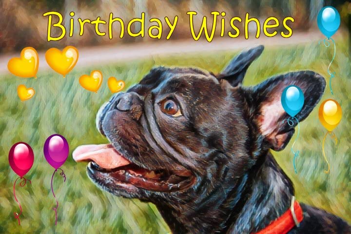 Birthday Wishes French Bulldog Art Card A5 : Amazon.co.uk: Stationery ...