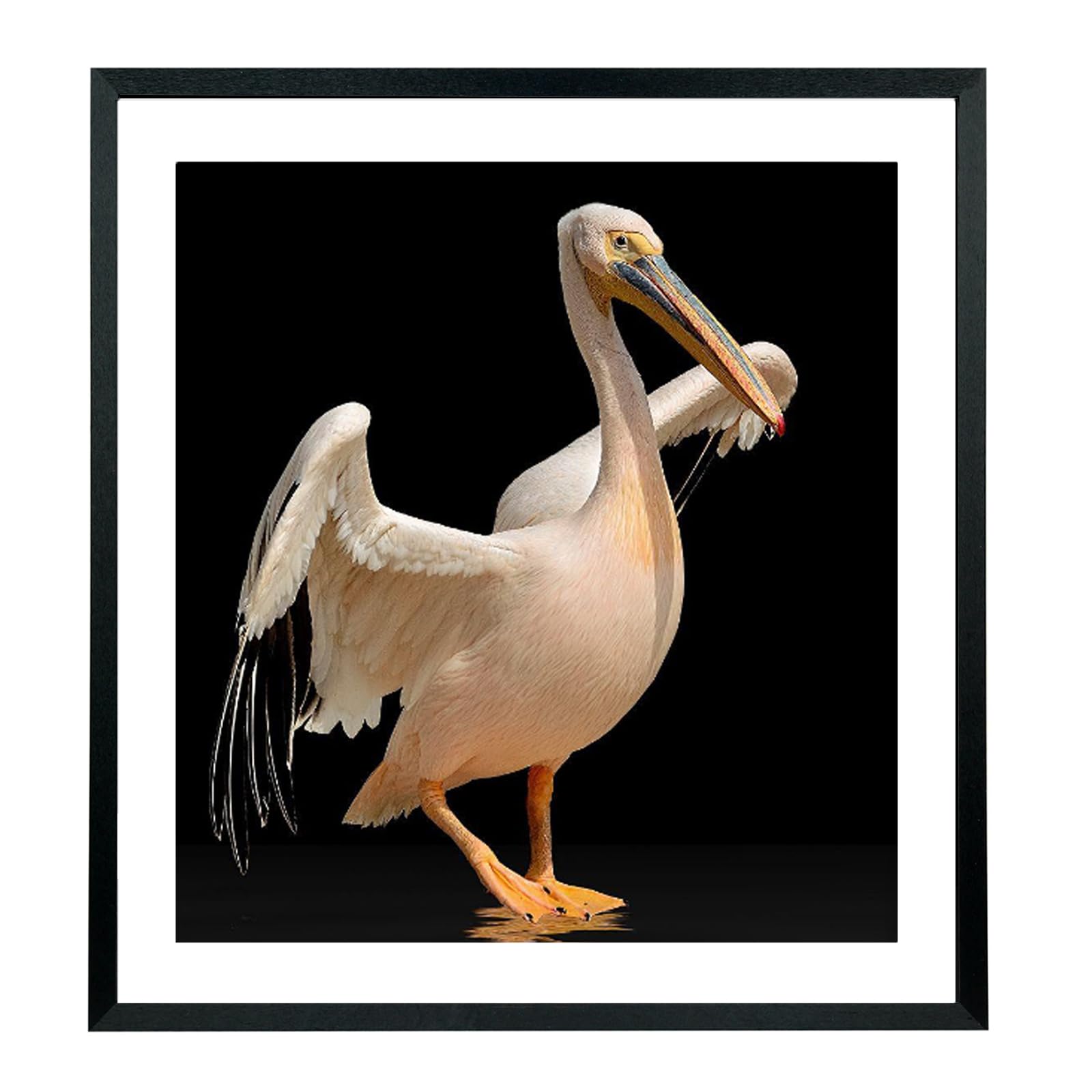 Amazon.com: Mxtallup 20x22 Picture Frames Solid wood,Display Pictures ...