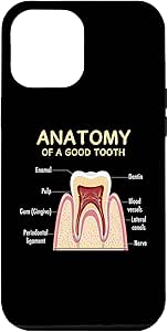 Amazon.com: iPhone 14 Plus Anatomy Of A Good Tooth Dental Humor for ...