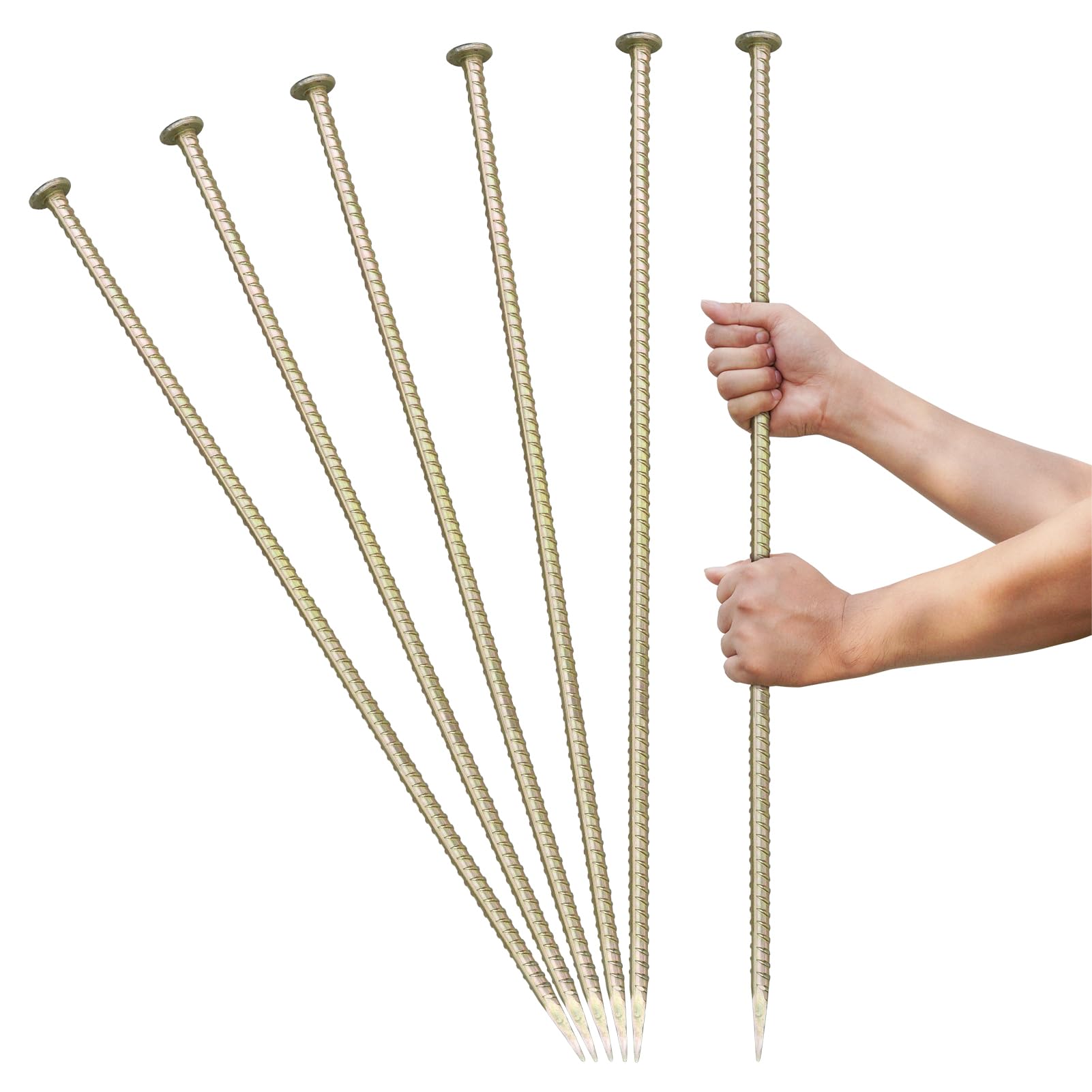 Amazon.com : JPOIP 30 Inch Long Rebar Stakes - 9/16 Inch Diameter Heavy ...