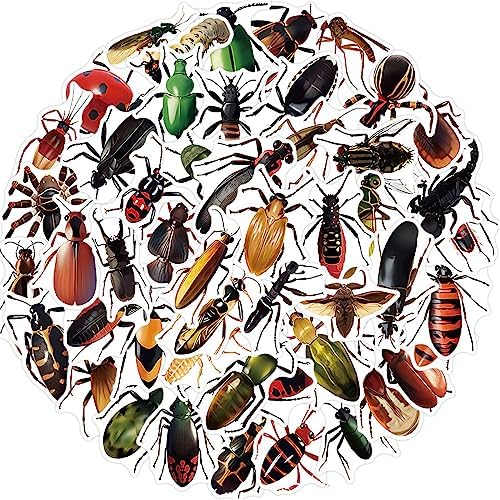 Amazon.com: 50PCS Insect Stickers Waterproof Cute Nature Insect ...