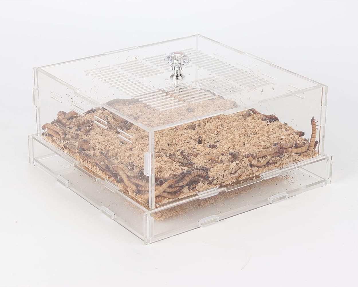 Amazon.com : WOLEDOE Acrylic Mealworms Keeper, Dubia Roach Container ...