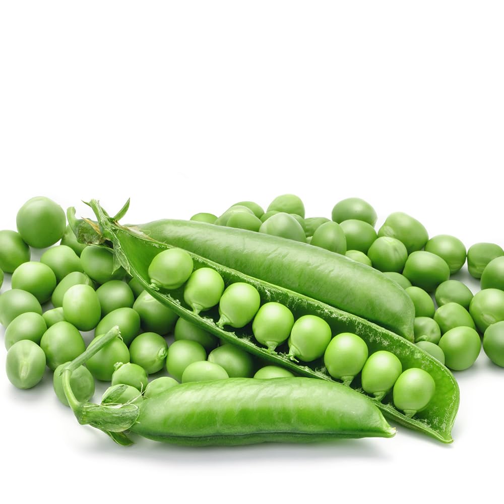 Green Peas Seeds Hybrids F1 Vegetable Seeds for Home Garden for ...
