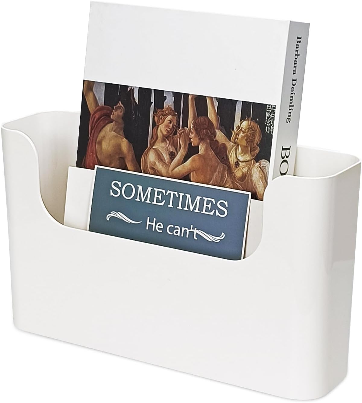 Amazon.com : POUYRBA Wall File Holder - White Plastic Wall Mount File ...