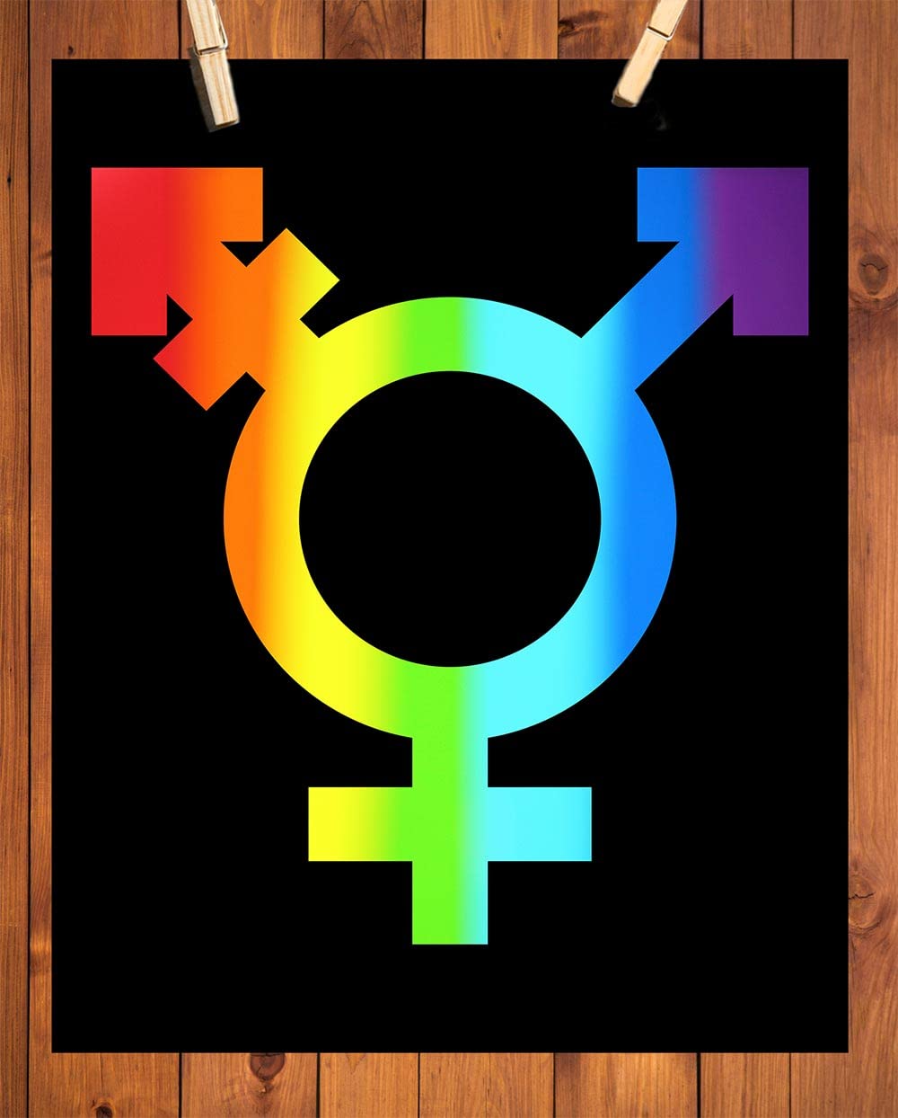 Lgbt Equality Symbols Poster Transgender Pride Symbols. LGBT Rights