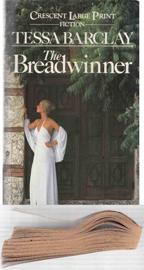 The Breadwinner : Barclay, Tessa: Amazon.com.be: Books