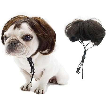 Amazon.com : Tanya Amazing Gentleman Style Pet Wig Dog Wig 1pc Brown ...