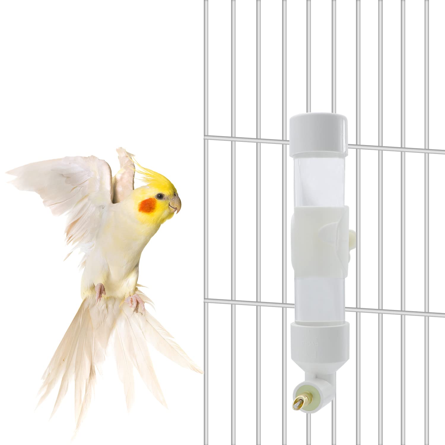 Snapklik.com : Bird Water Dispenser Parrot Waterer Automatic Bird Water ...