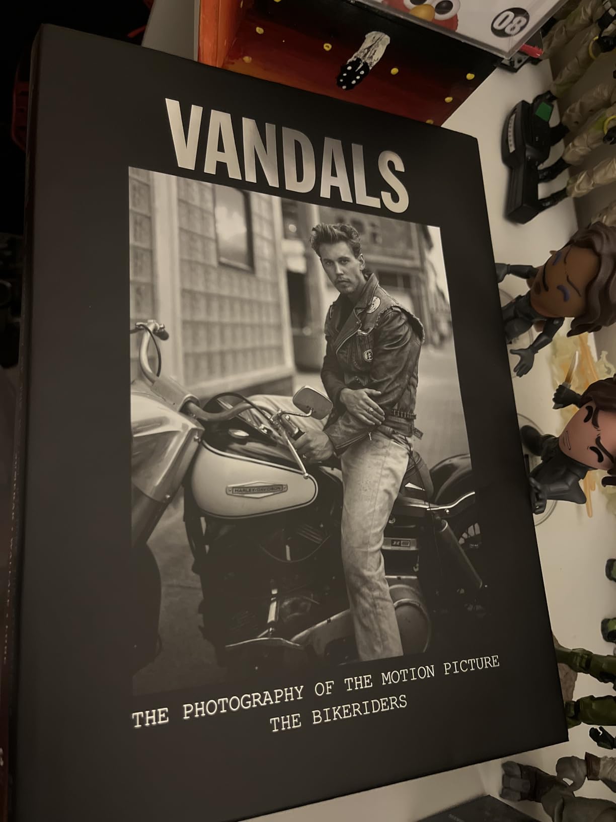 Vandals: The Photography of The Bikeriders: Insight Editions ...