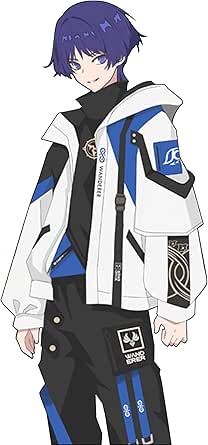 Amazon.com: RUIBOCOS Genshin Impact Wanderer Impression Coat Hoodie ...