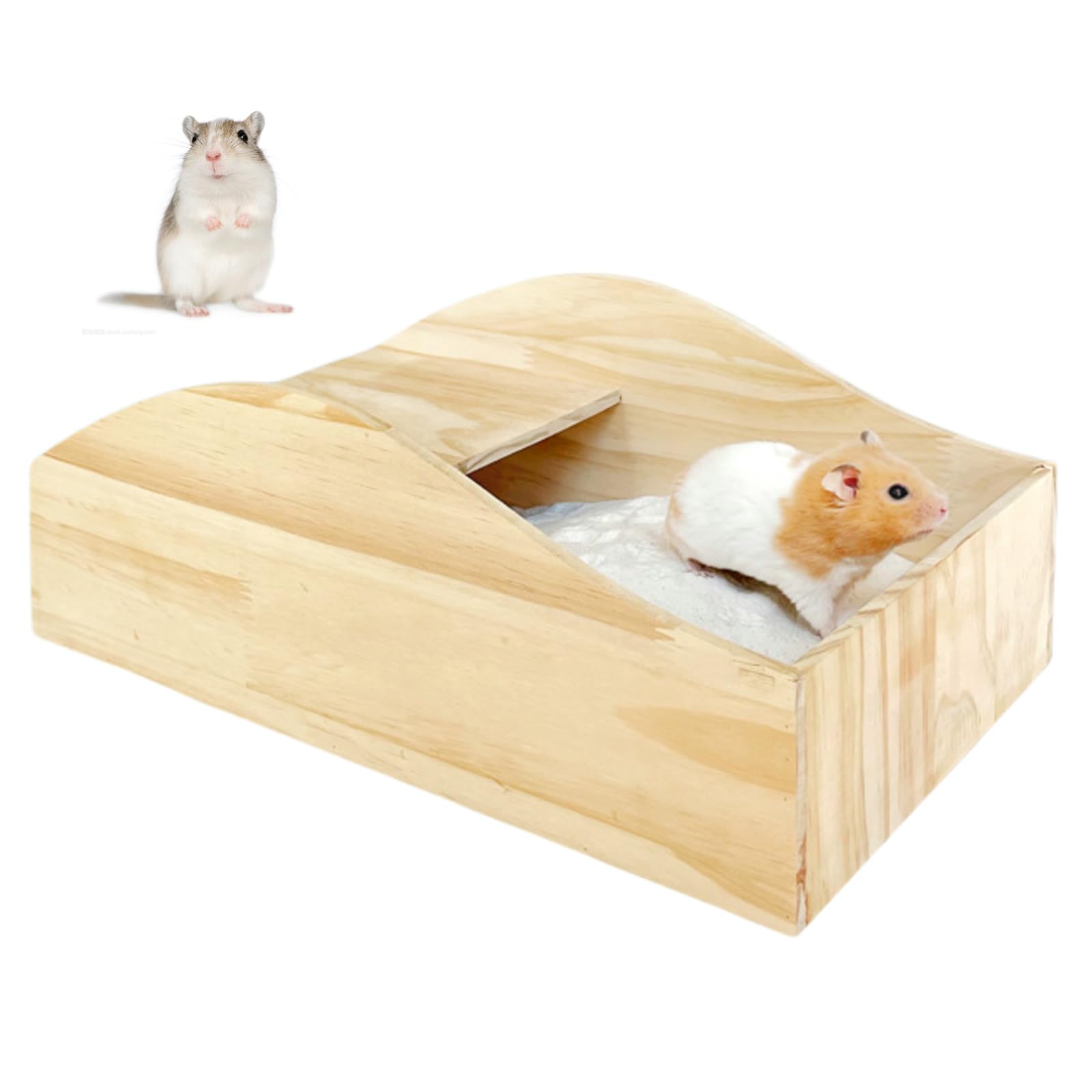 Amazon.com : Hamiledyi Large Hamster Sand Bath Container Hamster ...