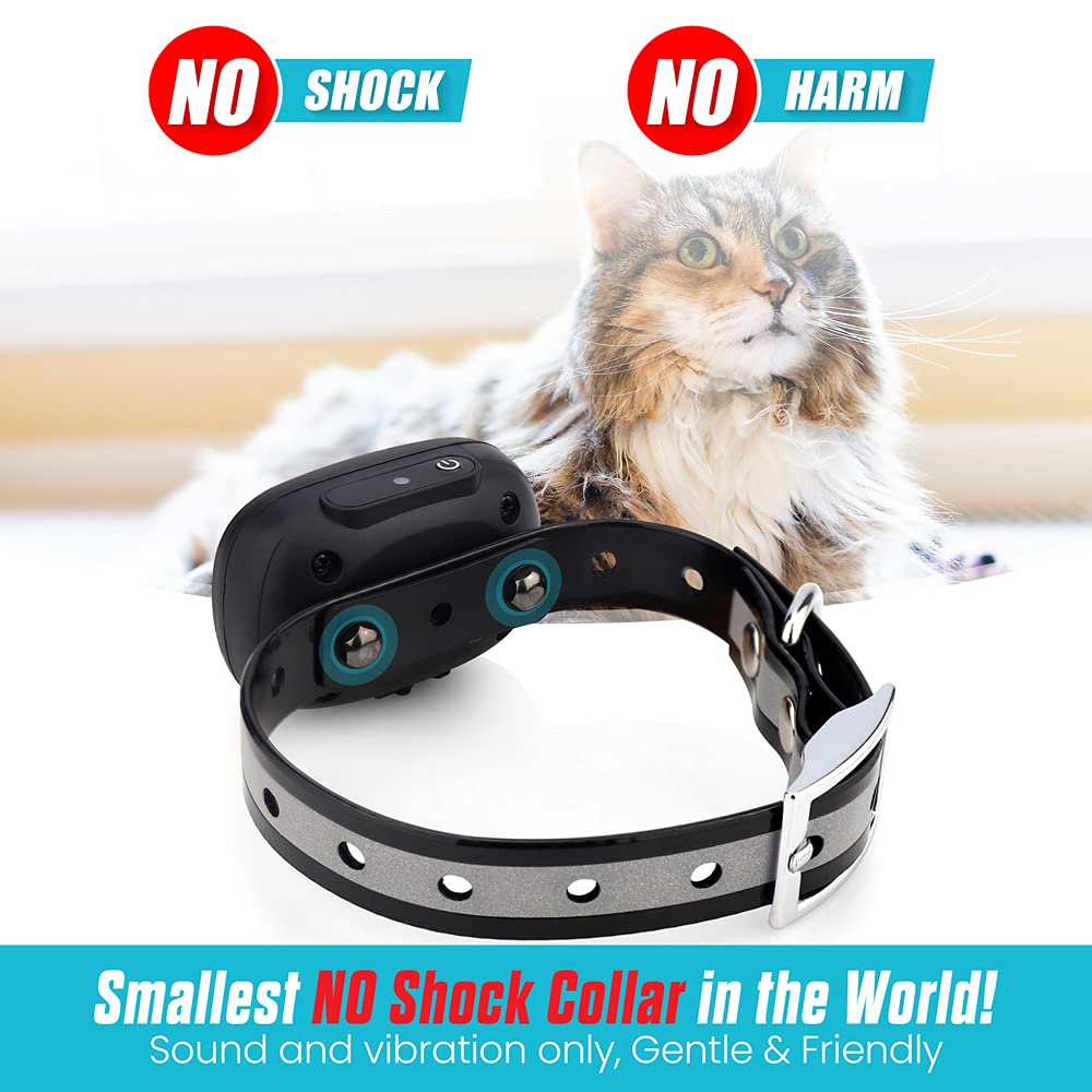 Electronic collar for cats online