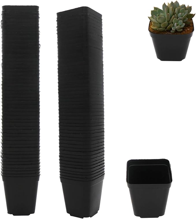 Plastic Nursery Pots 100 Pcs 2 Inch Small Square Plant Pot Durable ...