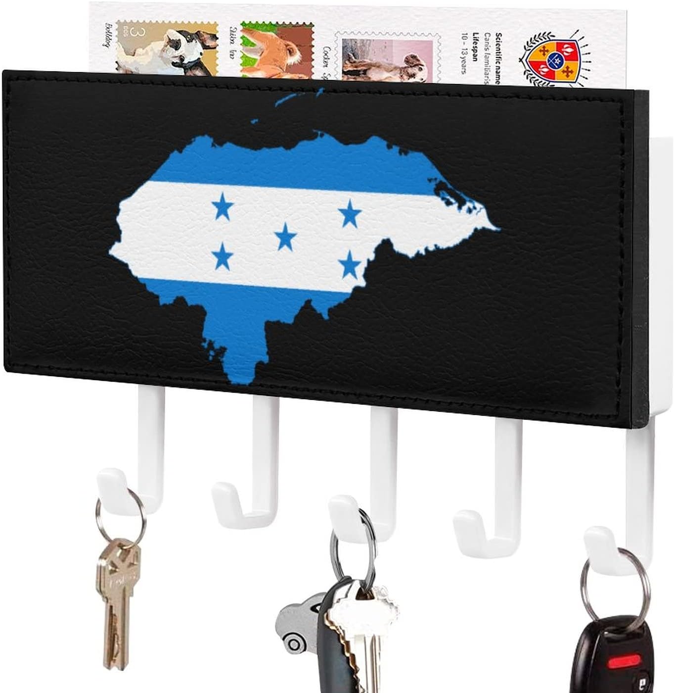Amazon.com: Flag Map of Honduras Cute Key Holder Nail-Free Keys ...