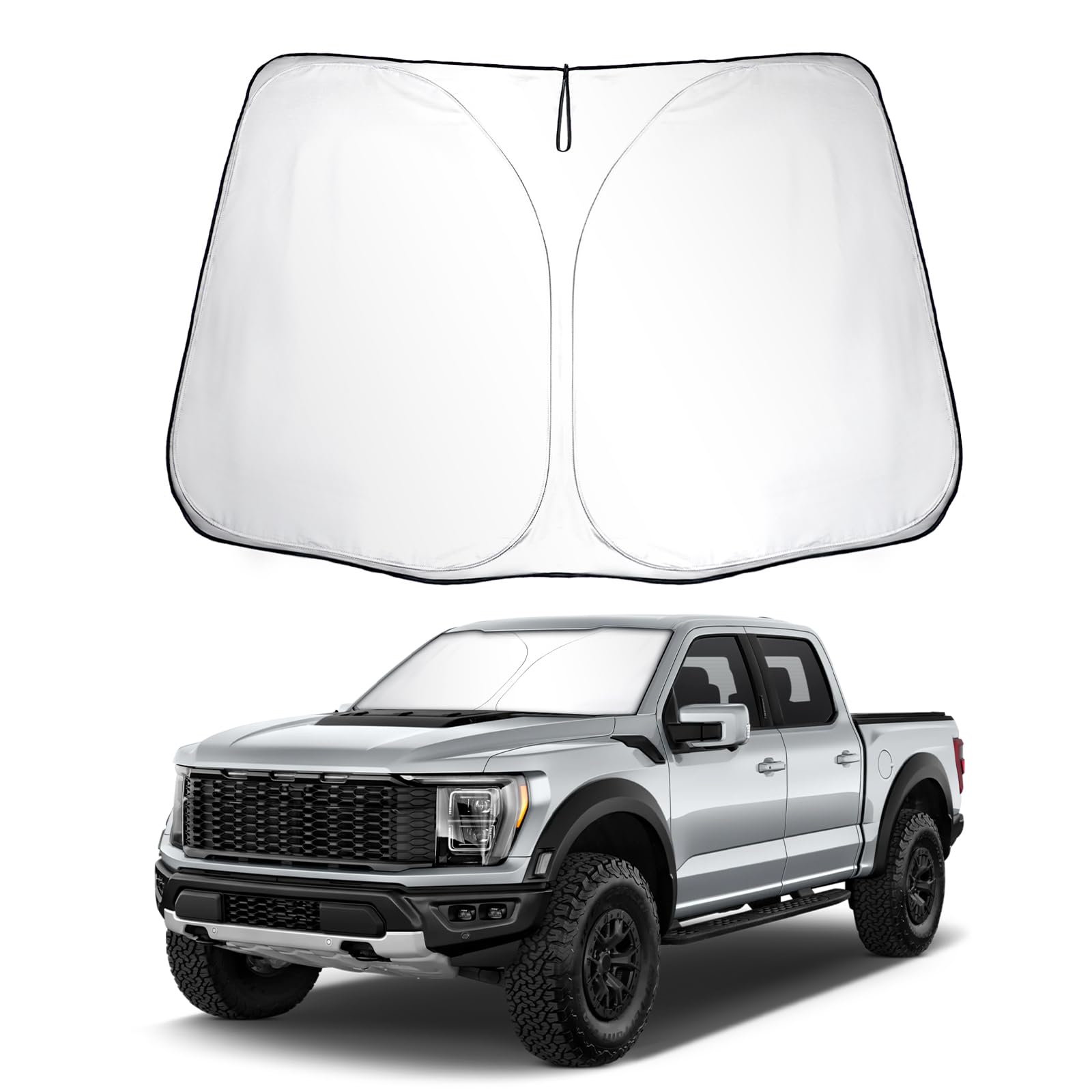 Ford F 150 Windshields