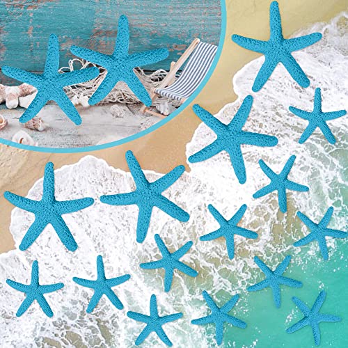 Dreieck Aquarium – Die 15 besten Produkte im Vergleich - Aquaristik