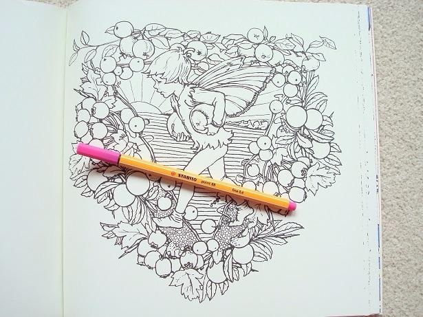 The Flower Fairies Colouring Book : Barker, Cicely Mary: Amazon.co.uk ...