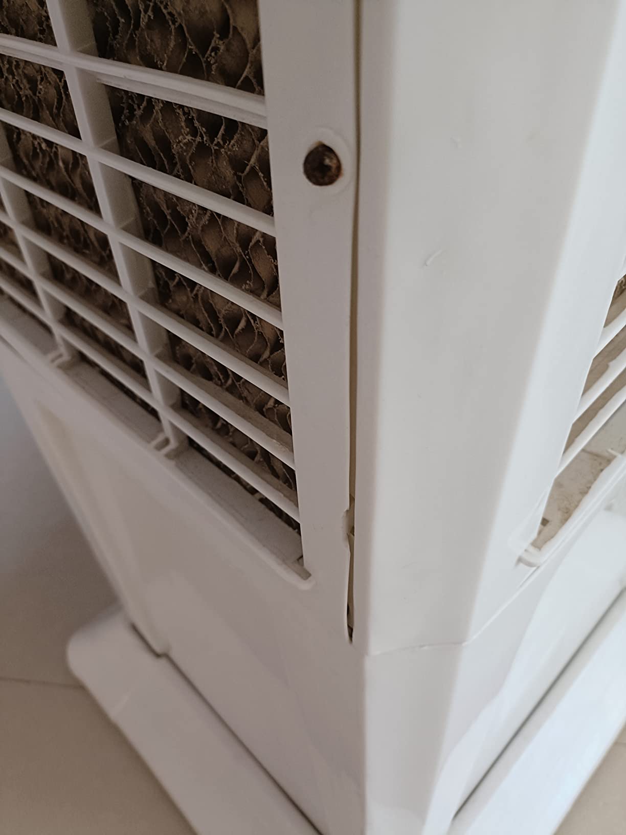 Speedo Air coolers Trust Juior-54 : Amazon.in: Home & Kitchen