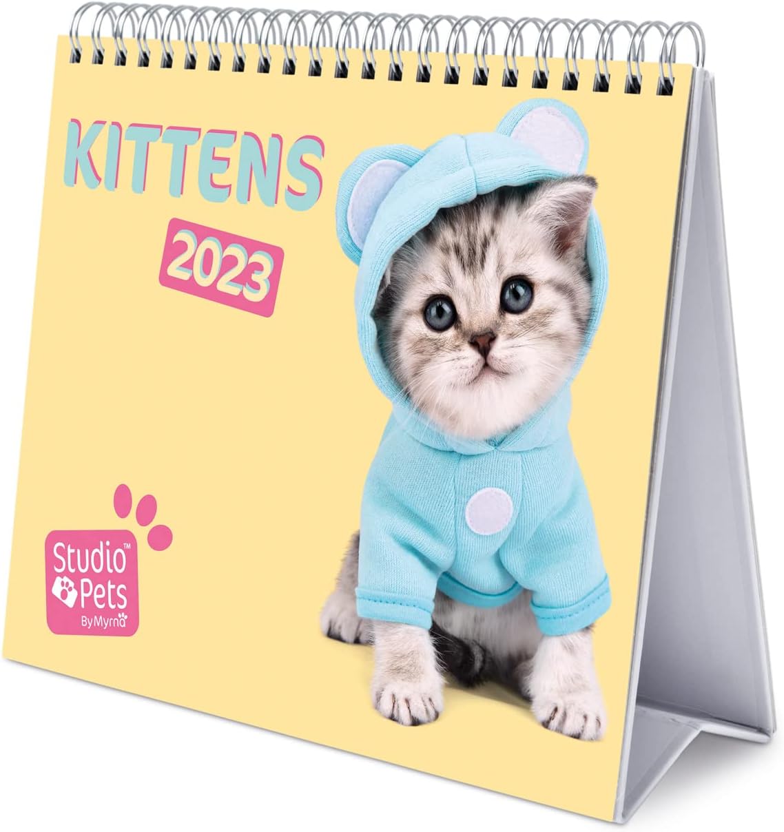 Grupo Erik Cat Desk Calendar 2025 | 8 x 7 inches - 20 x 17 cm | 12 ...