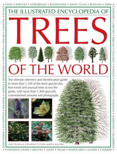 The Illustrated Encyclopedia of Trees of the World: Amazon.co.uk ...