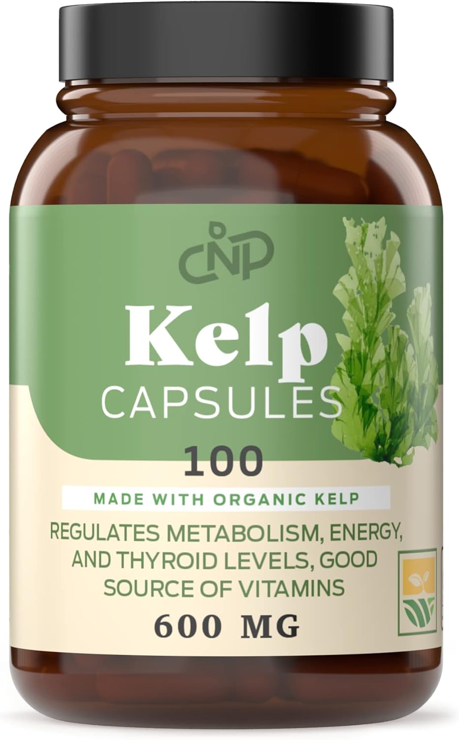 Amazon.com: Raw Sea Kelp Powder Supplement - 600mg Capsules 100 Pills ...